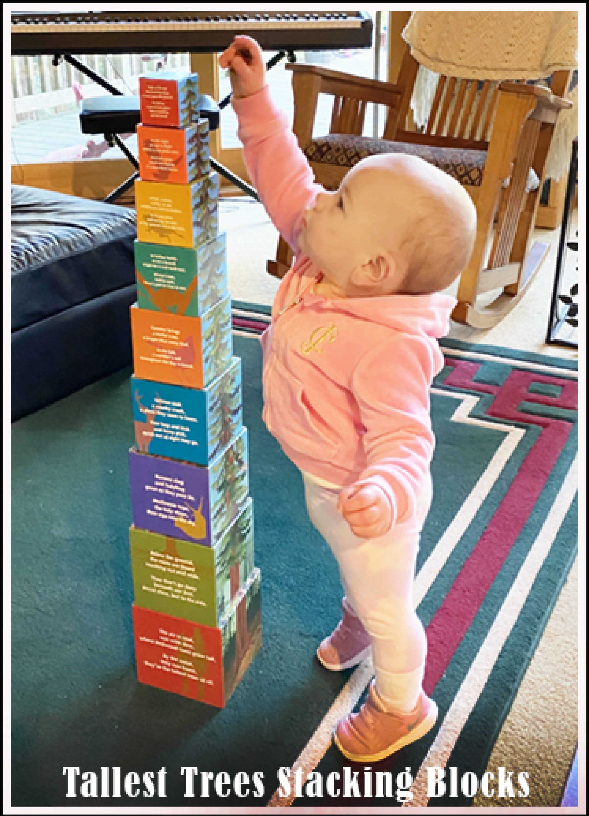 Blocks – The Tallest Tree | Stewards of the Coast and Redwoods