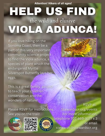 Find Viola adunca on the Sonoma Coast 2023 | Stewards of the Coast and ...