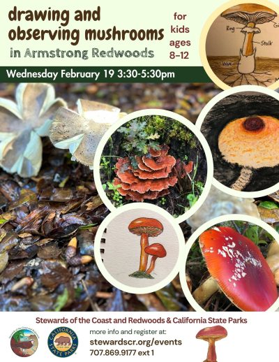 2025 Kids draw and observe mushrooms | Stewards of the Coast and Redwoods